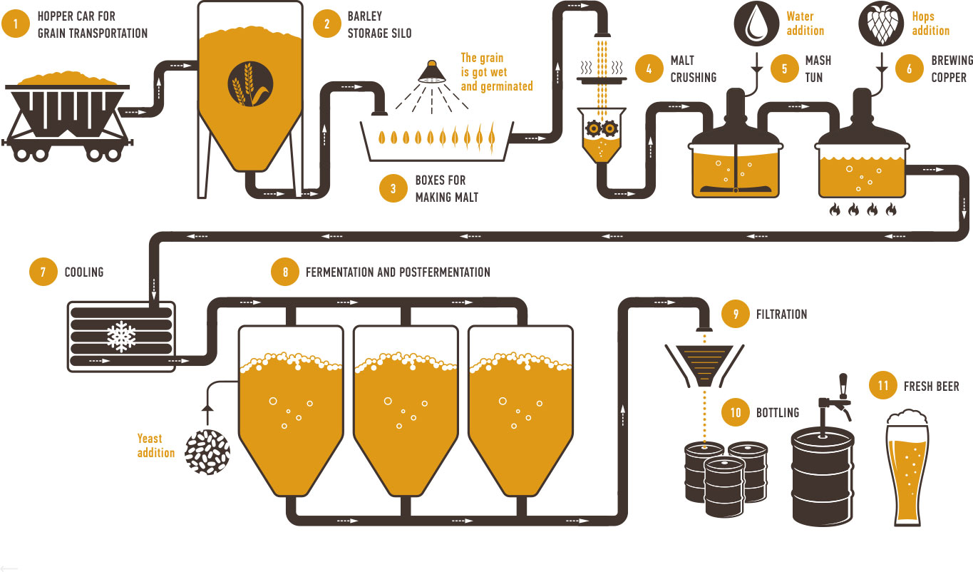 The Technology Of Preparation Of Beer